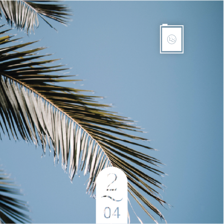 2.03 Bal de Minuit - Recharge pour diffuseur de parfum